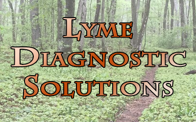 ImTec Diagnostics NV | the specialist in distributing laboratory supplies throughout Belgium and ...